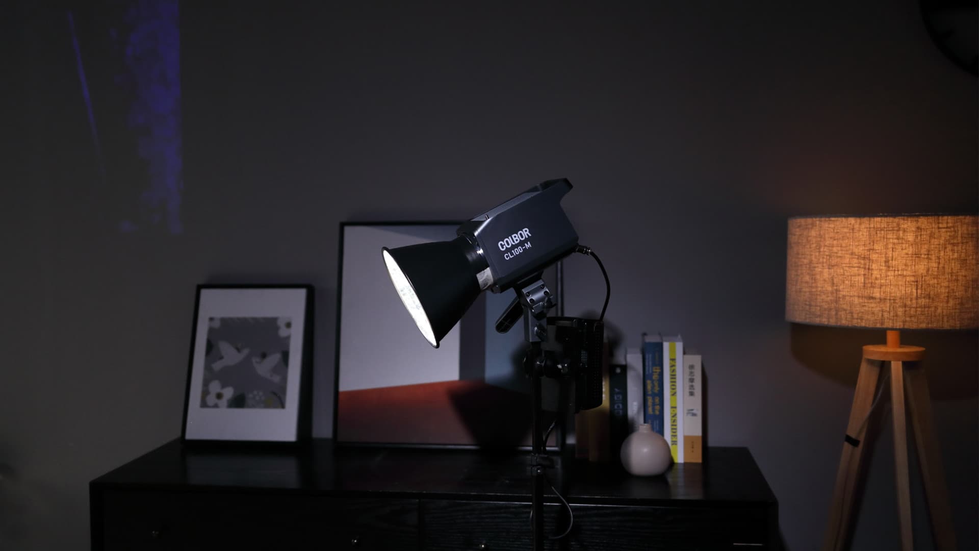 What are daylight photography lights and how to use them effectively? – COLBOR