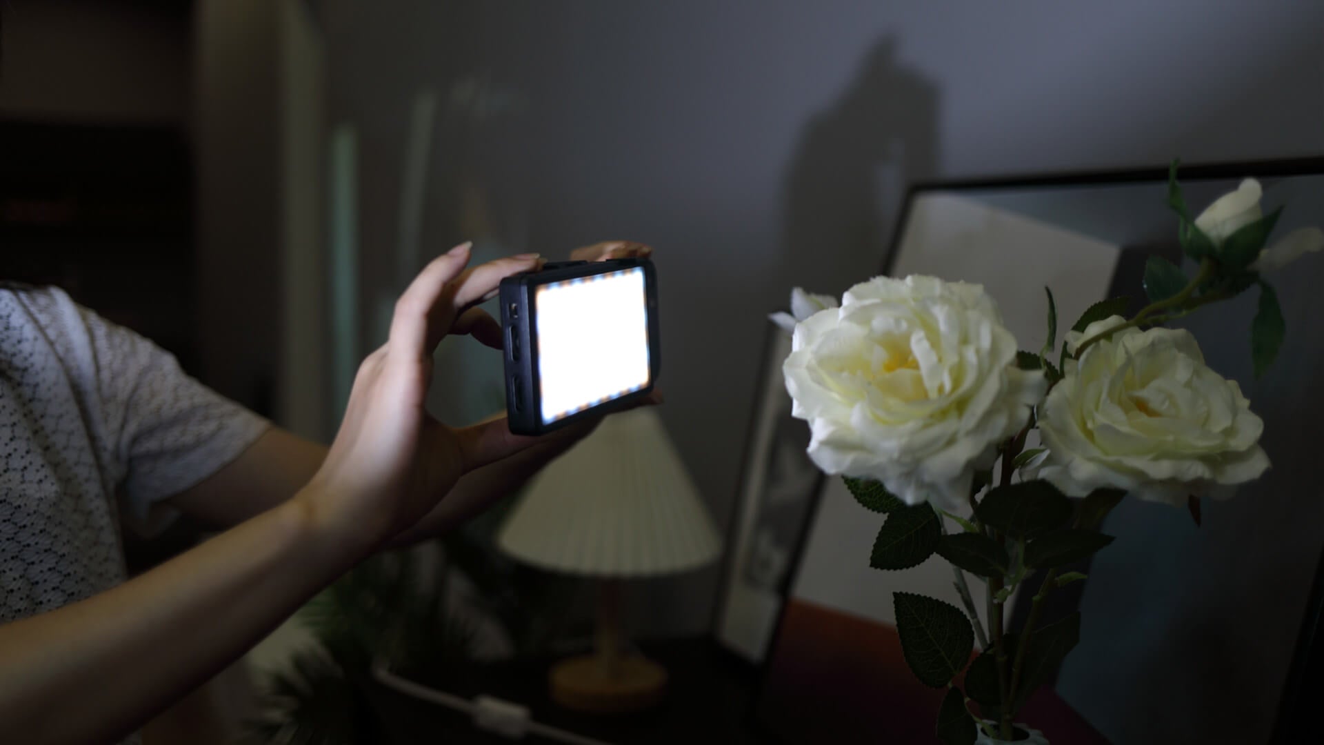 What is bi color LED light panel? – COLBOR